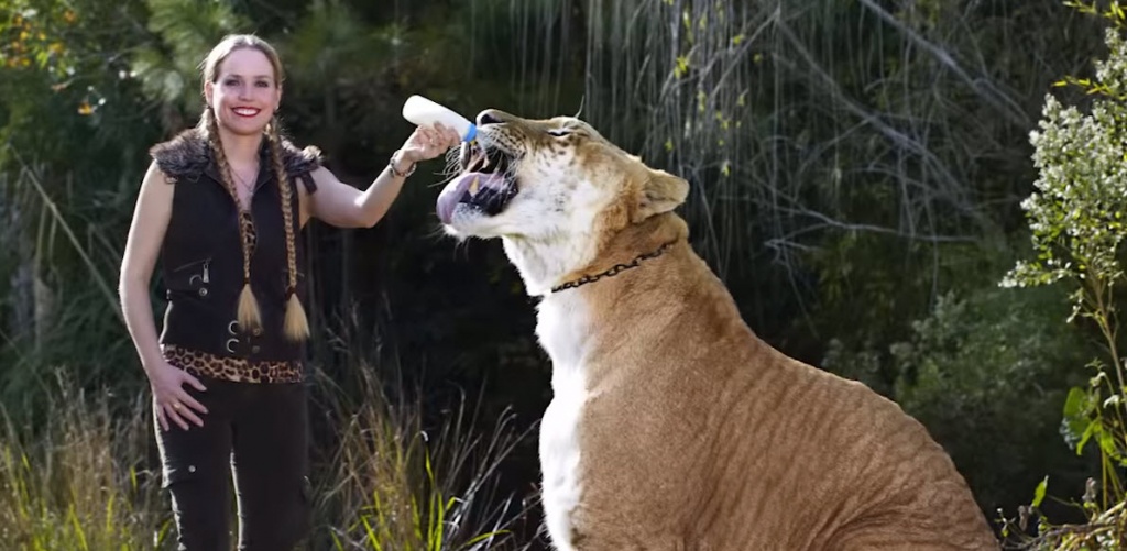 You Wouldn't Believe That These Abnormally Large Animals Are Actually ...